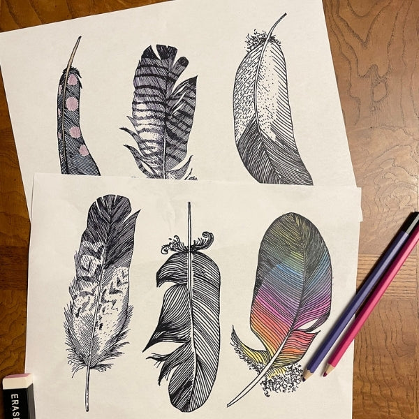 bird watching coloring book