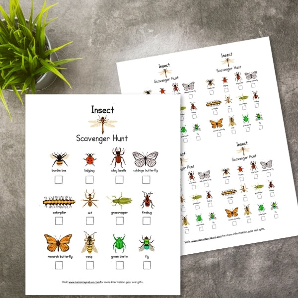 Insect Scavenger Hunt Printable For Kids - Namastay Nature